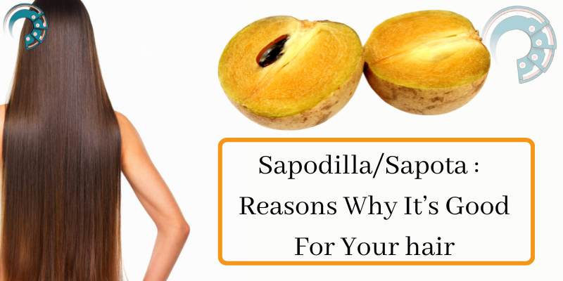 Sapodilla/Sapota : Reasons Why It’s Good For Your hair