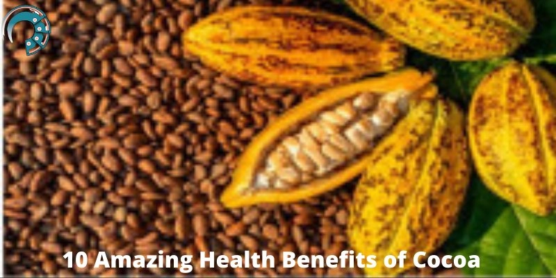 10 Amazing Health Benefits of Cocoa