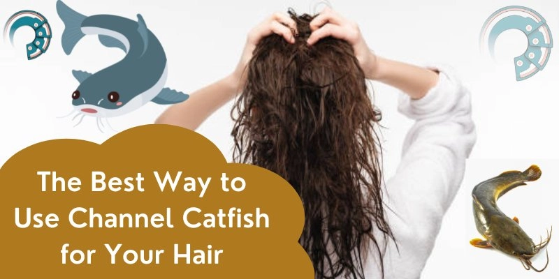 The Best Way to Use Channel Catfish for Your Hair