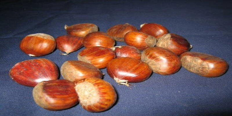 Nutritional values of Chestnuts