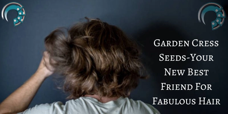 Garden Cress Seeds-Your New Best Friend For Fabulous Hair