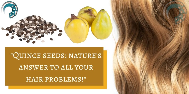 "Quince seeds: nature's answer to all your hair problems!"