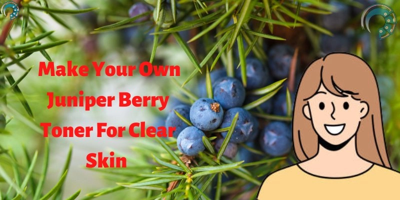 Make Your Own Juniper Berry Toner For Clear Skin