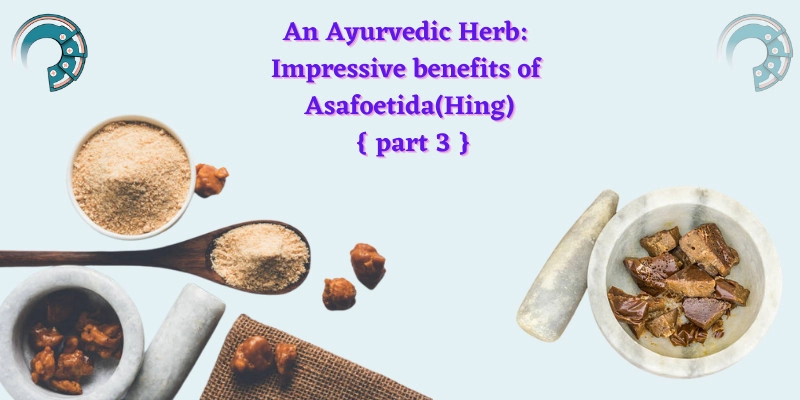 An Ayurvedic Herb: Impressive benefits of Asafoetida(Hing) { part 3 }
