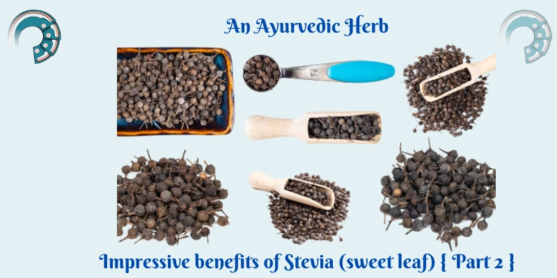 An Ayurvedic Herb : Impressive benefits of Cubeb { Part 2 }
