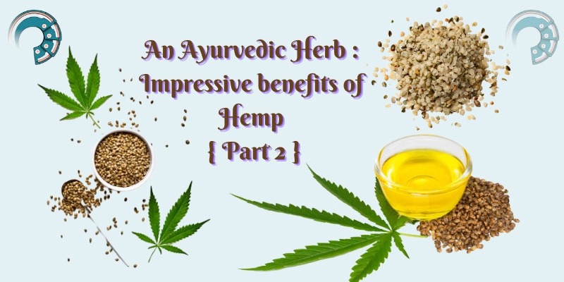 An Ayurvedic Herb : Impressive benefits of Hemp { Part 2 }