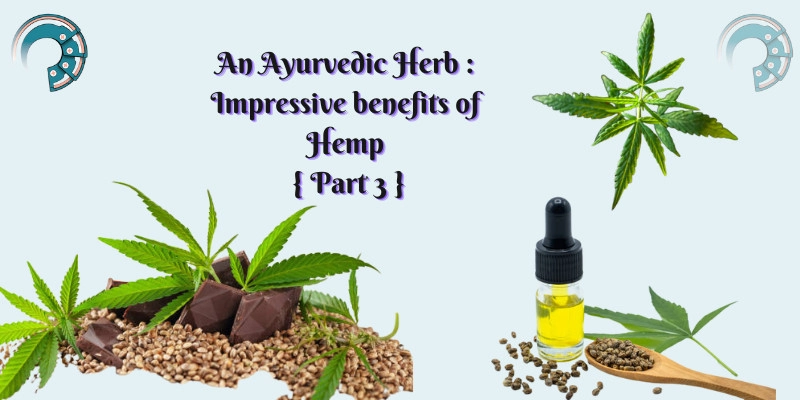 An Ayurvedic Herb : Impressive benefits of Hemp { Part 3 }