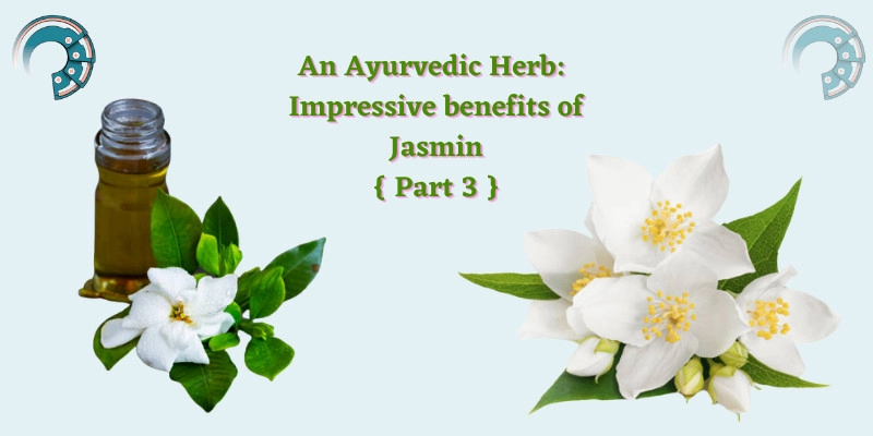 An Ayurvedic Herb: Impressive benefits of Jasmin { Part 3 }