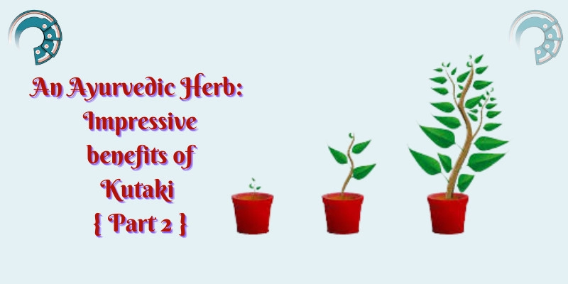 An Ayurvedic Herb : Impressive benefits of Kutaki { Part 2 }