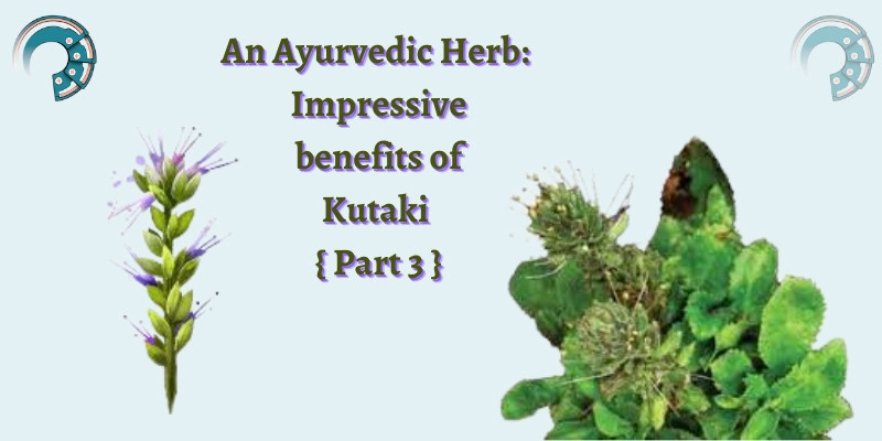 An Ayurvedic Herb : Impressive benefits of Kutaki { Part 3 }
