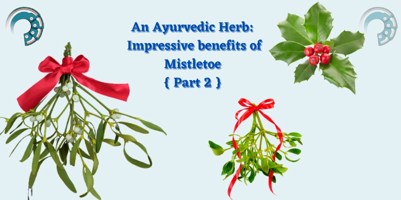 An Ayurvedic Herb : Impressive benefits of Mistletoe { Part 2 }