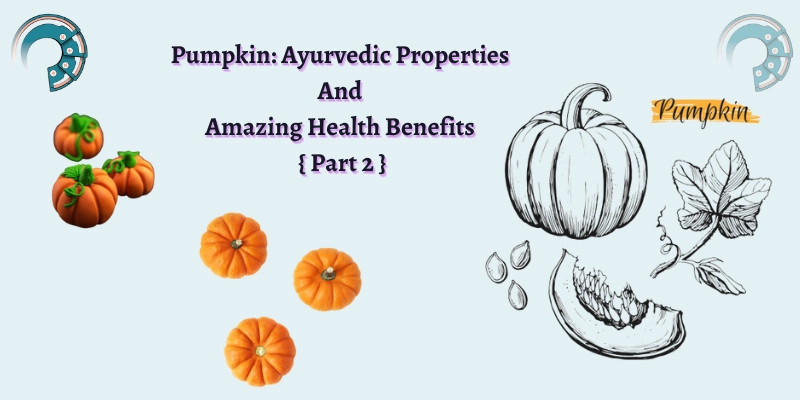 Pumpkin: Ayurvedic Properties And Amazing Health Benefits { Part 2 }