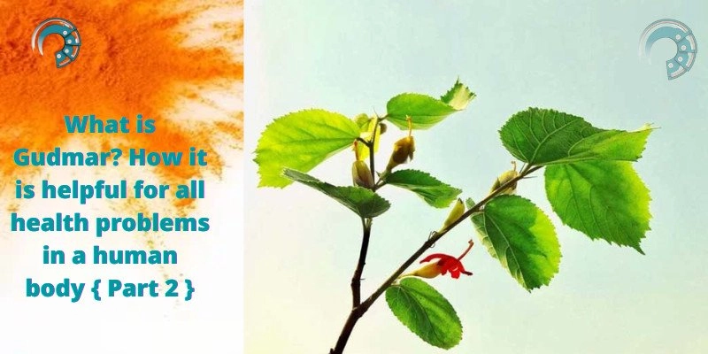 What is Gudmar? How it is helpful for all health problems in a human ...