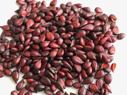 "Quince seeds: nature's answer to all your hair problems!"